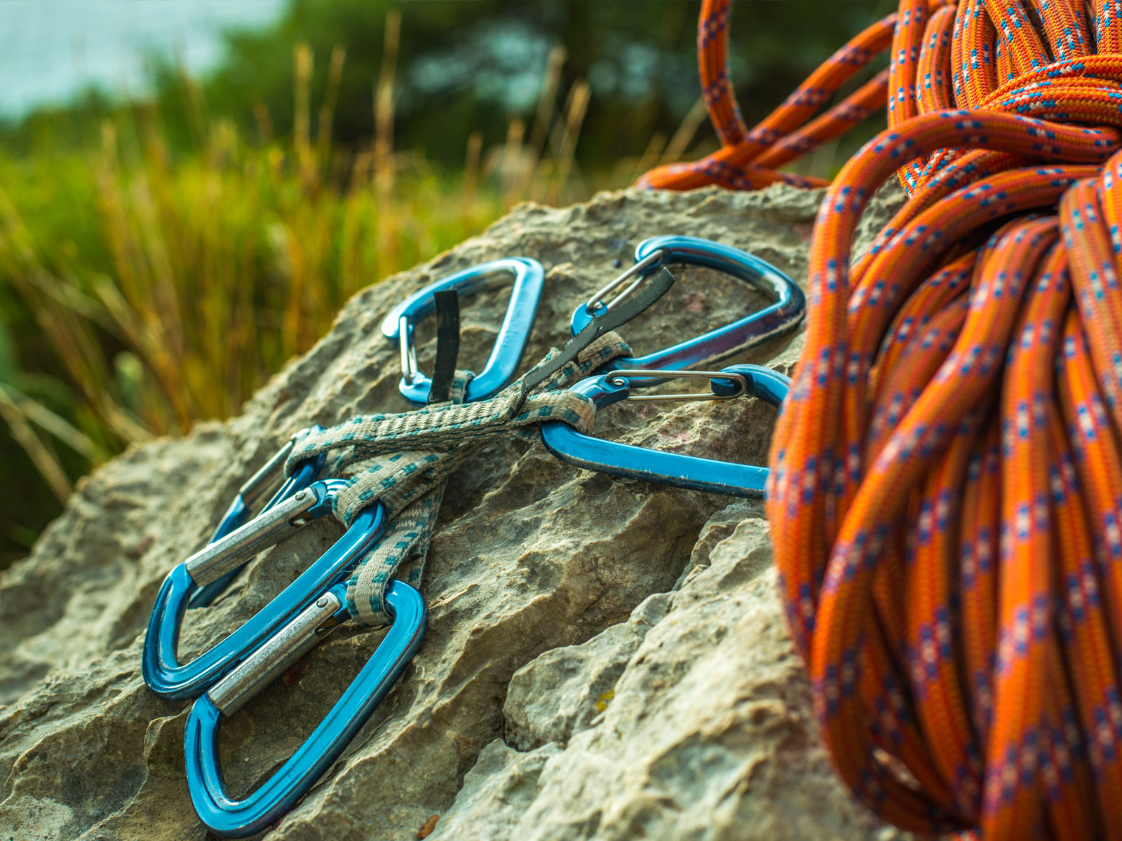 How to Harness Marketing Opportunities & Trends