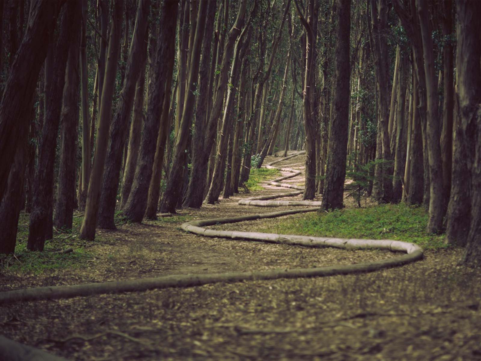 5 Simple Tips for Better Marketing